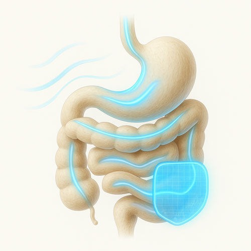 Cow Gastrointestinal - Cow Digestion Health | Support Products – الزعفران