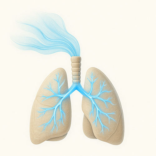 Camel Respiratory - Support | Breathe Easy Solutions – الزعفران