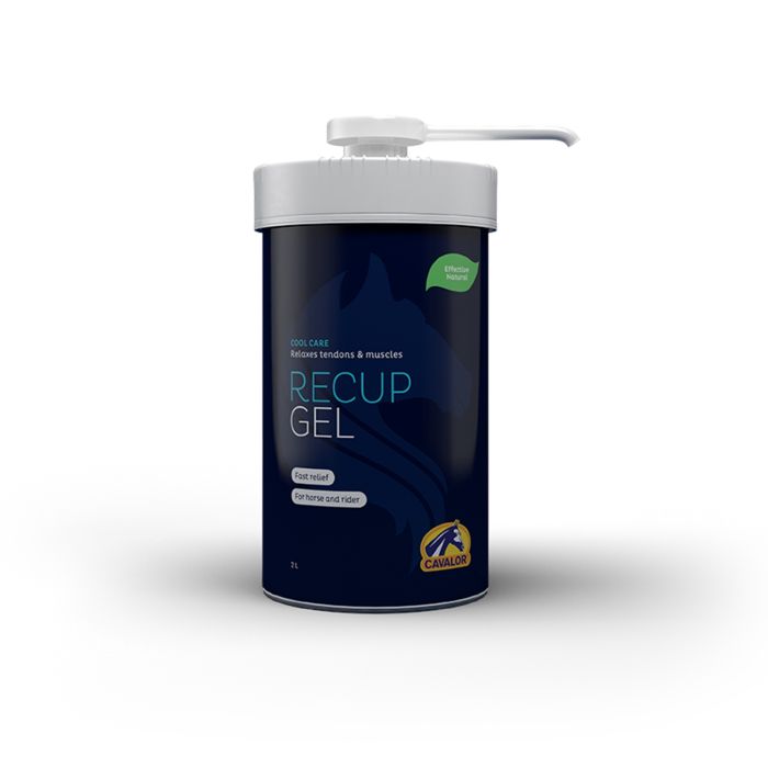 Recup Gel - Muscle Tendon Recovery Gel | Fast Recovery, Soothes Aches ...
