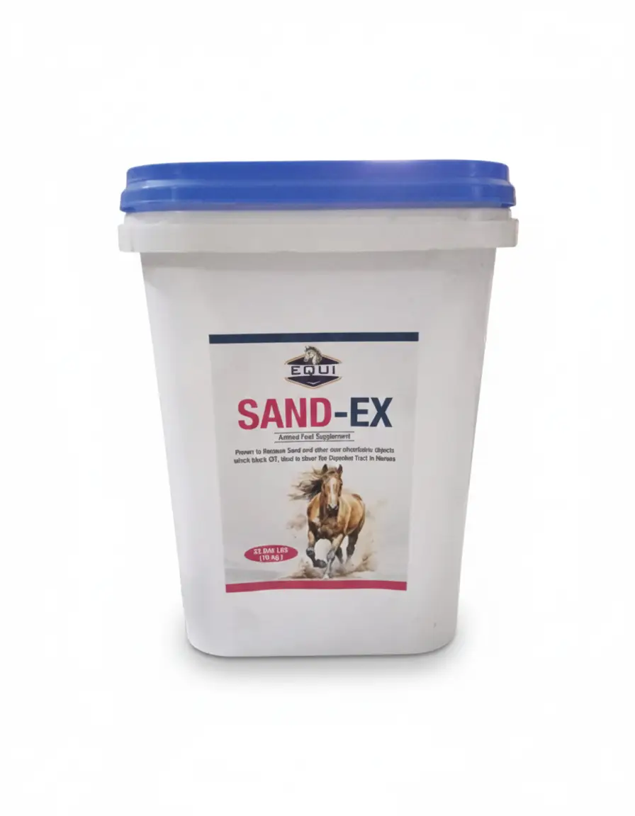 SAND-EX – الزعفران