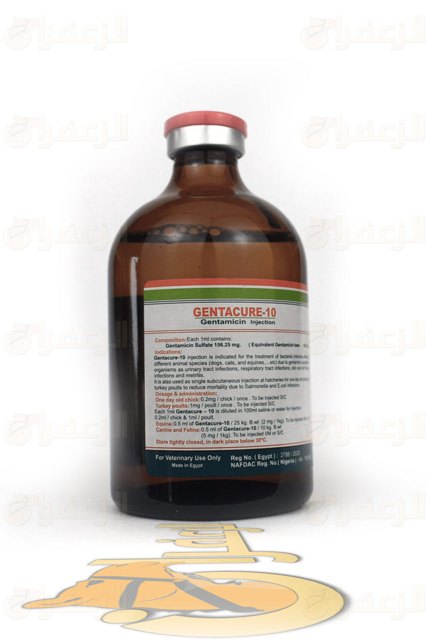 Antibiotics – الزعفران